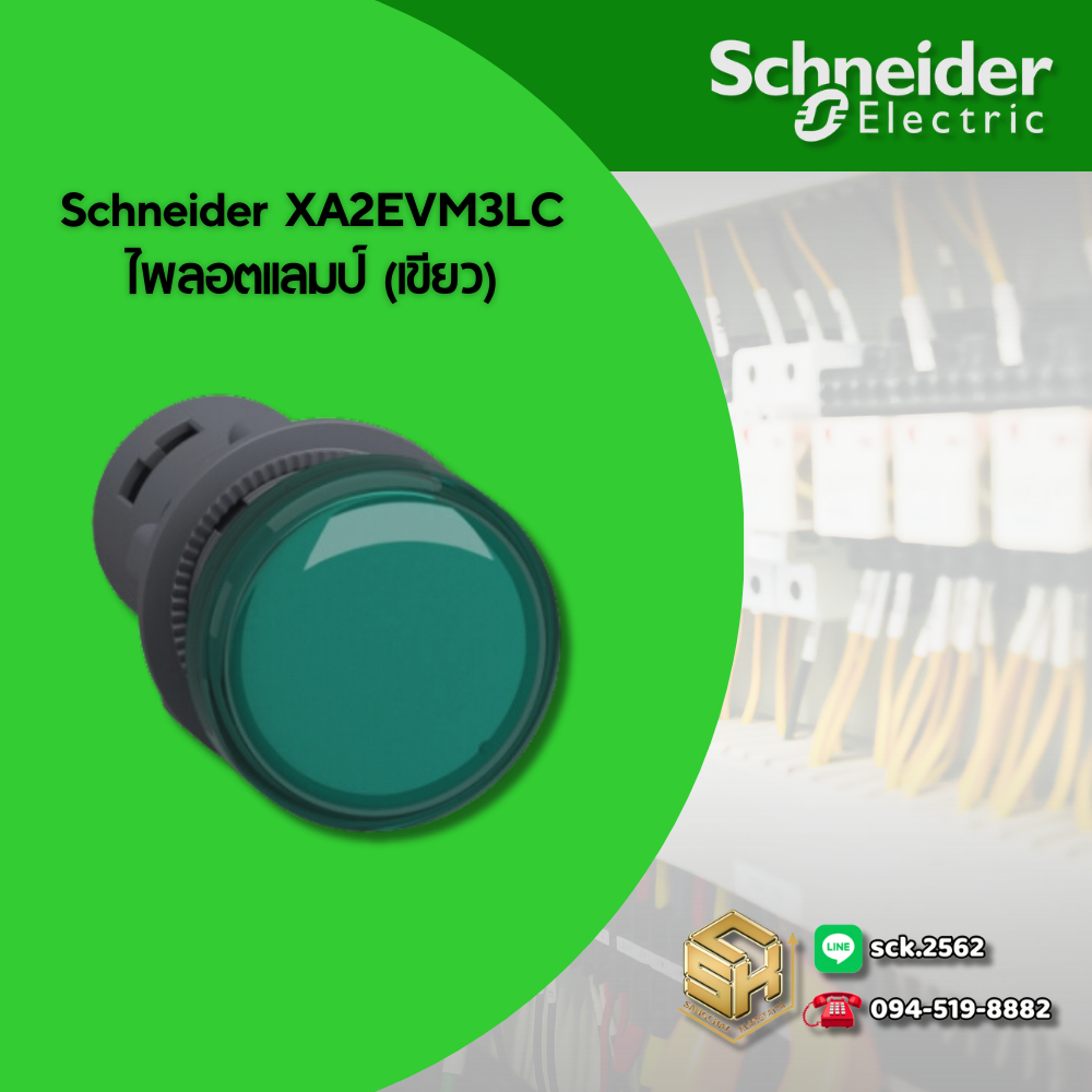 Schneider ไพลอตแลมป์ LED ขนาด 22 mm แรงดันไฟเลี้ยง 220/230 VAC | Shopee ...