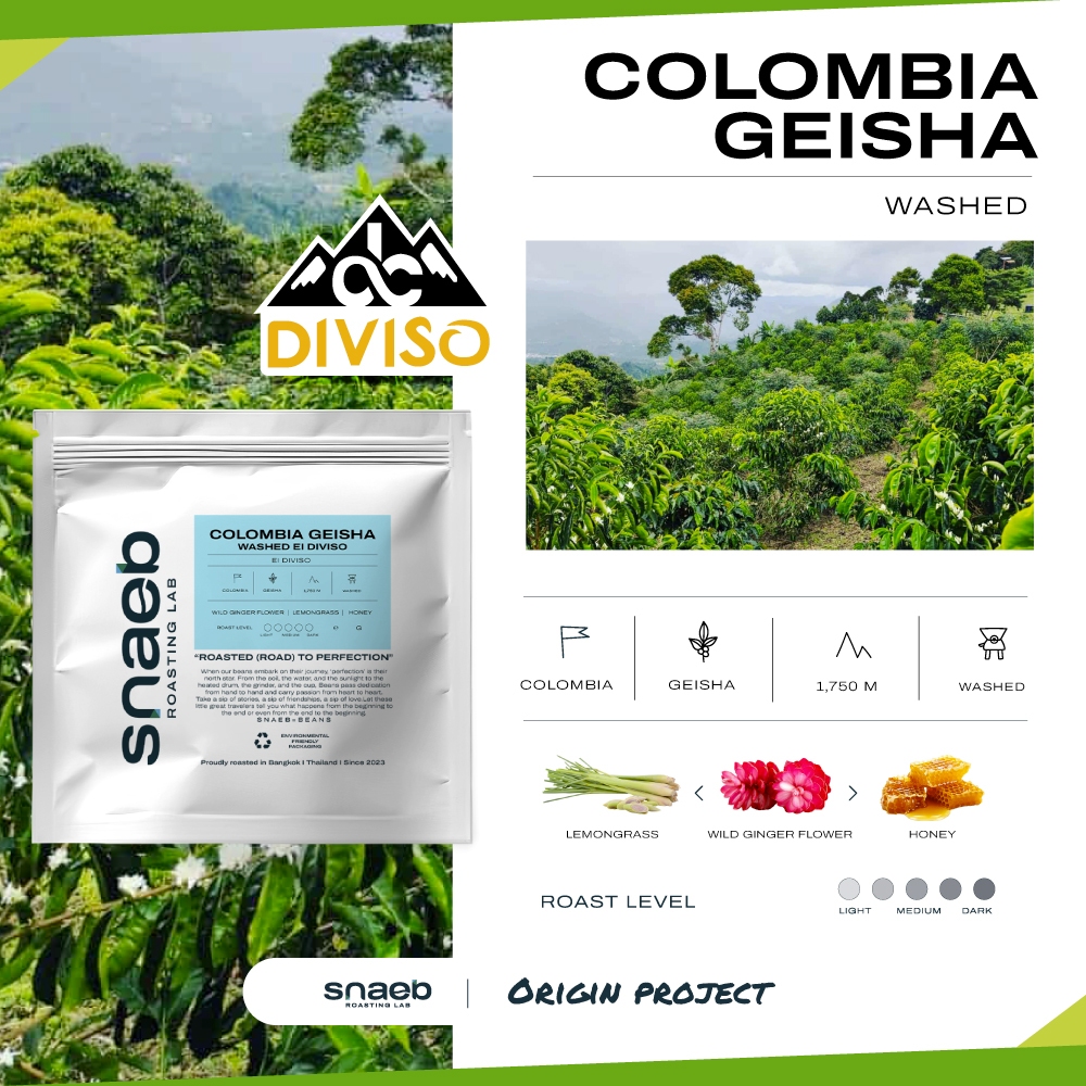 Colombia Geisha Washed EI DIVISO | เมล็ดกาแฟคั่ว คั่วอ่อน Snaeb Coffee ...