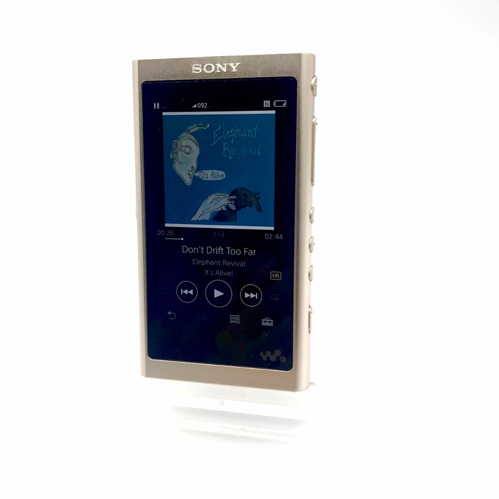 Sony Walkman NW-A55 - 16 GB | Shopee Thailand