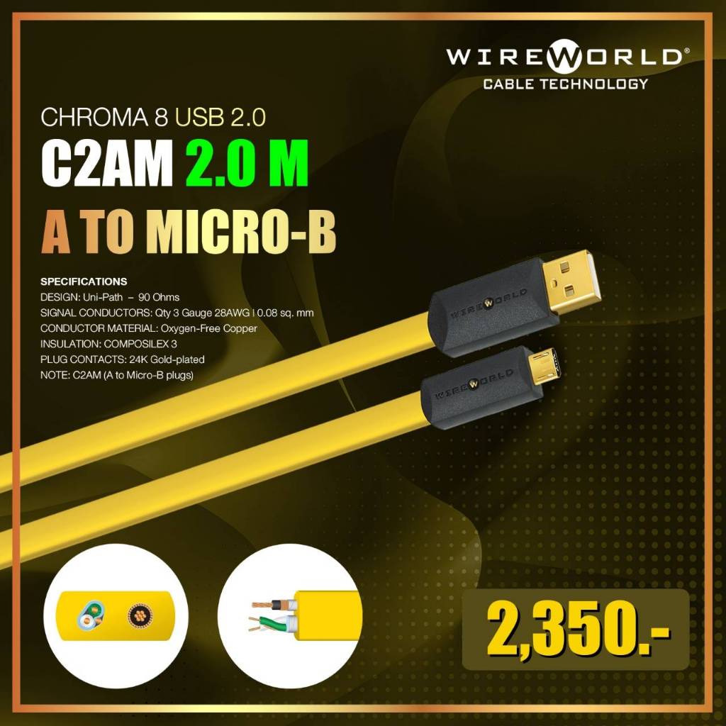 WireWorld Chroma 8 USB 2.0 A to Micro B (C2AM) Audio Cables | Shopee Thailand