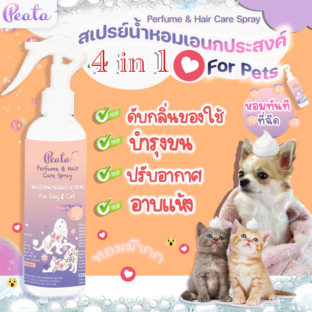 สเปรย์อาบแห้ง ดับกลิ่นตัว บำรุงขน สำหรับ สุนัข แมว กระต่าย - Peata ...