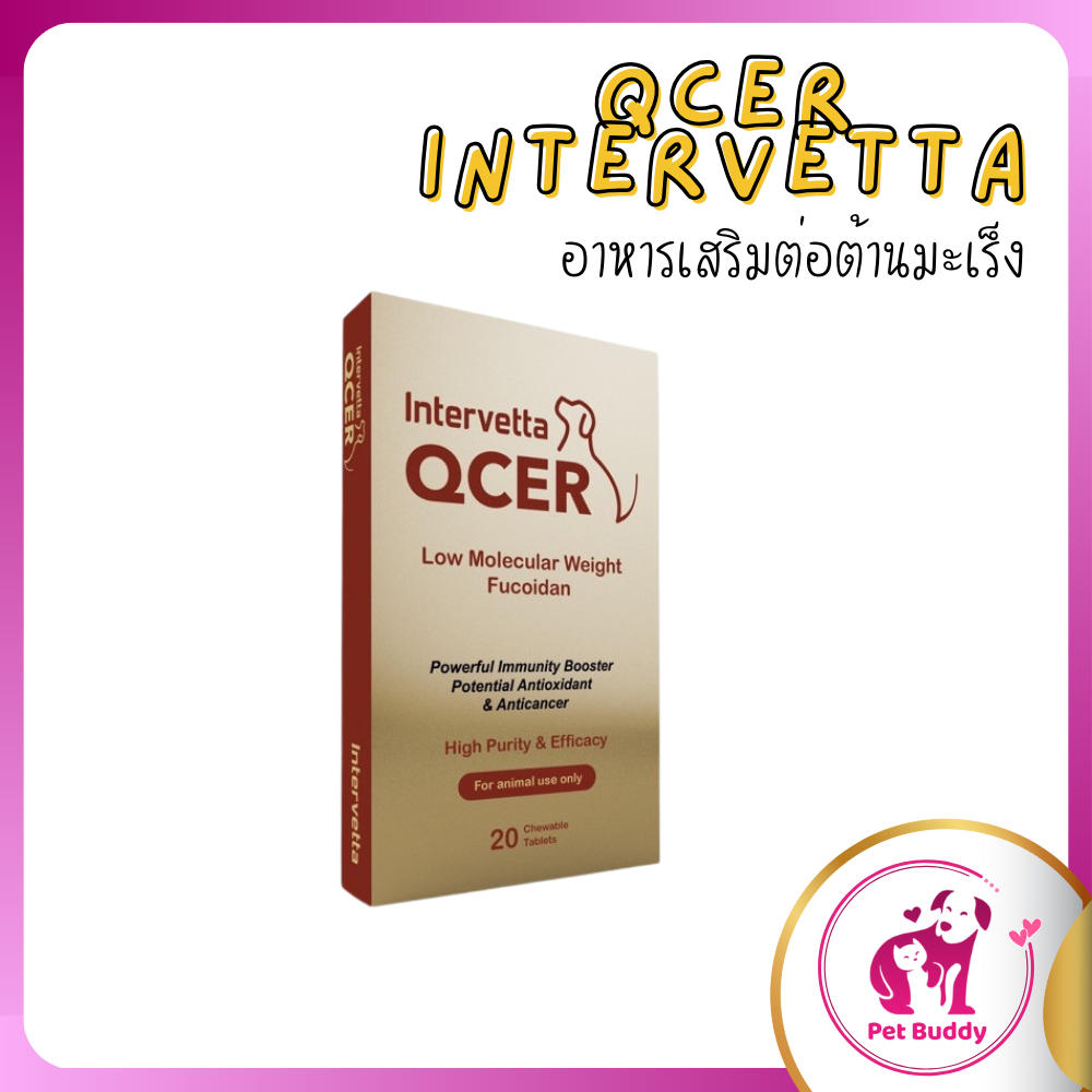 QCER บรรจุ20เม็ด ผลิตภัณฑ์ต่อต้านมะเร็งและเสริมภูมิคุ้มกันให้สมดุลย์ | Shopee Thailand