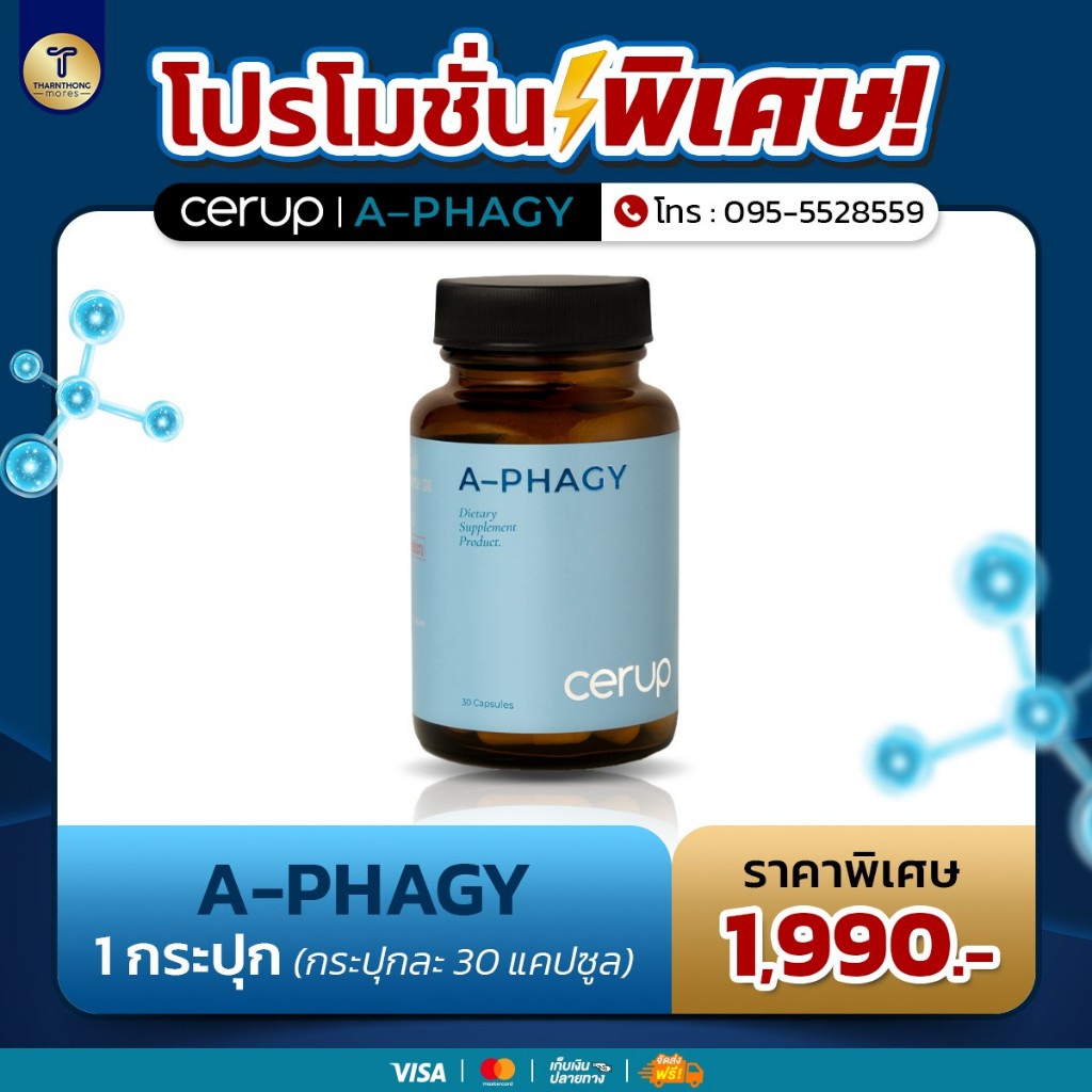 Cerup A-PHAGY ผลิตภัณฑ์เสริมอาหารซีรัป เอ-ฟาจี้ ชะลอวัยในระดับไมโตคอนเด ...