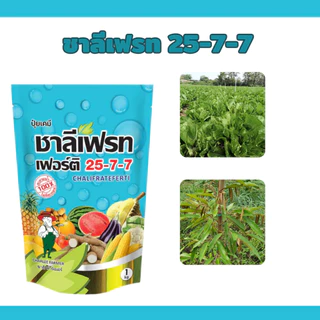 ปุ๋ยสูตร 25-7-7 ราคาพิเศษ | ซื้อออนไลน์ที่ Shopee ส่งฟรี*ทั่วไทย!