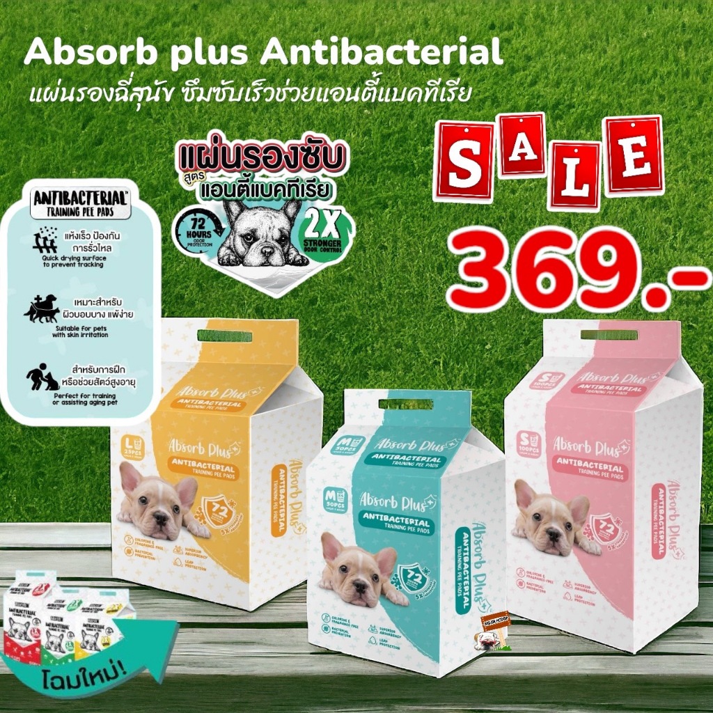 แพ็คเกจใหม่ Absorb Plus แผ่นลองฉี่ สูตร Antibacterial แผ่นรองฉี่สุนัข ...