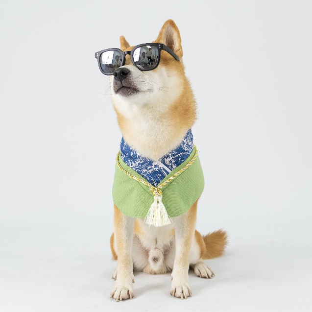 ปกคอยูกาตะ ปลอกคอญี่ปุ่น Inusama Collection สำหรับสัตว์เลี้ยง เฉพาะปกคอ ...