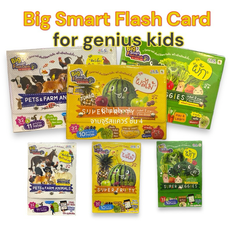 BIG SMART FLASH CARDS FOR GENIUS KIDS การเรียนรู้คำศัพท์ บัตรคำศัพท์ ...