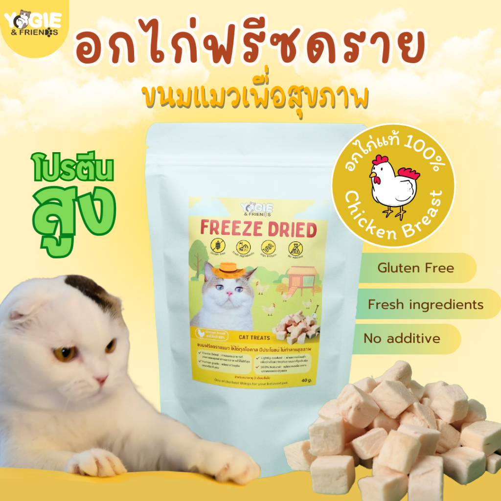 อกไก่ฟรีซดราย ขนมแมวเพื่อสุขภาพเกรดพรีเมี่ยม จากอกไก่100 % Yogie&Friends | Shopee Thailand