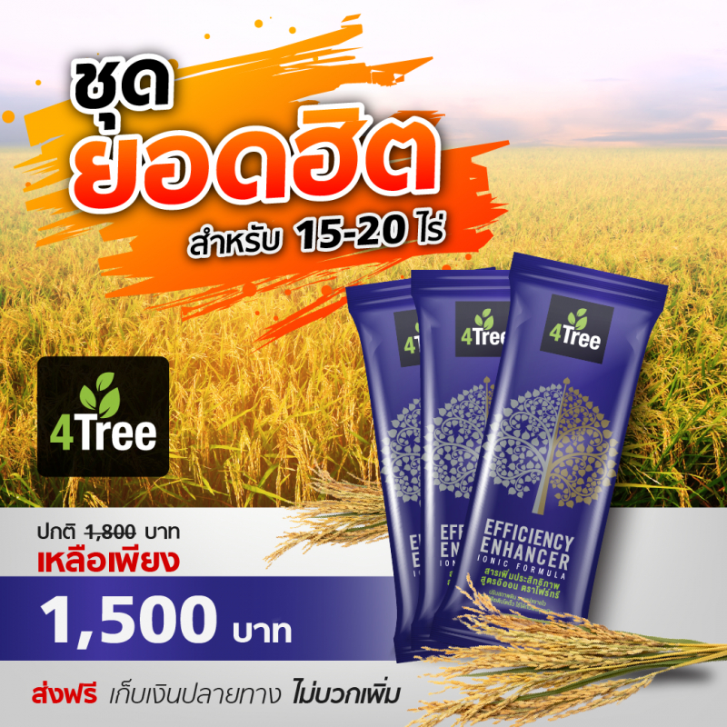4Tree โฟร์ทรี 3 ซอง สารเพิ่มประสิทธิภาพพืชโตเร็ว ใช้ได้ 50-60 ไร่ ของแท้ พร้อมส่งเก็บเงินปลายทาง ...