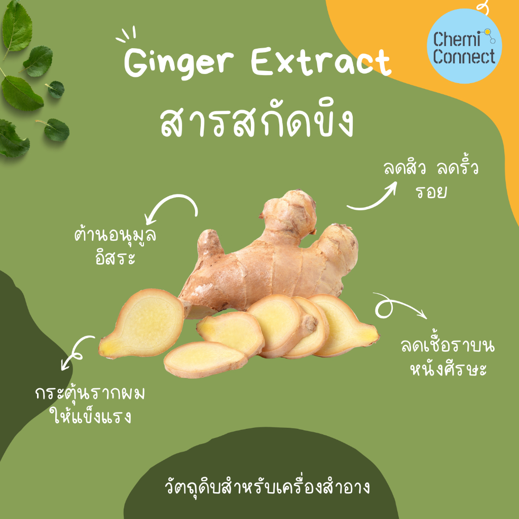 สารสกัดขิง Ginger Extract ( Zingiber Officinale Root ) ชนิดน้ำ สำหรับผสมเครื่องสำอาง ขนาด 500 ...