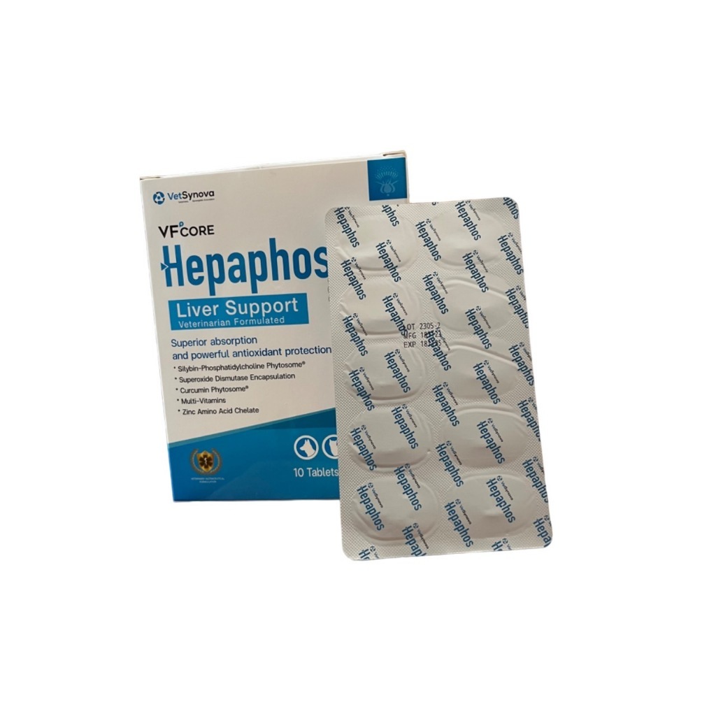 Hepaphos วิตามิน บำรุงตับ สำหรับสุนัขและแมว รสตับ | Shopee Thailand
