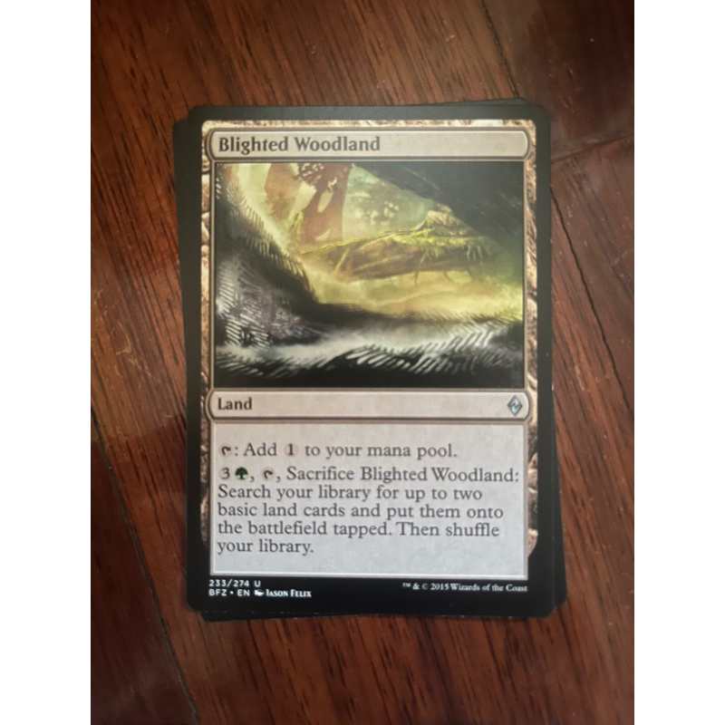 การ์ด MTG Blighted Woodland Land Magic the Gathering EDH รุ่น BFZ สภาพ ...
