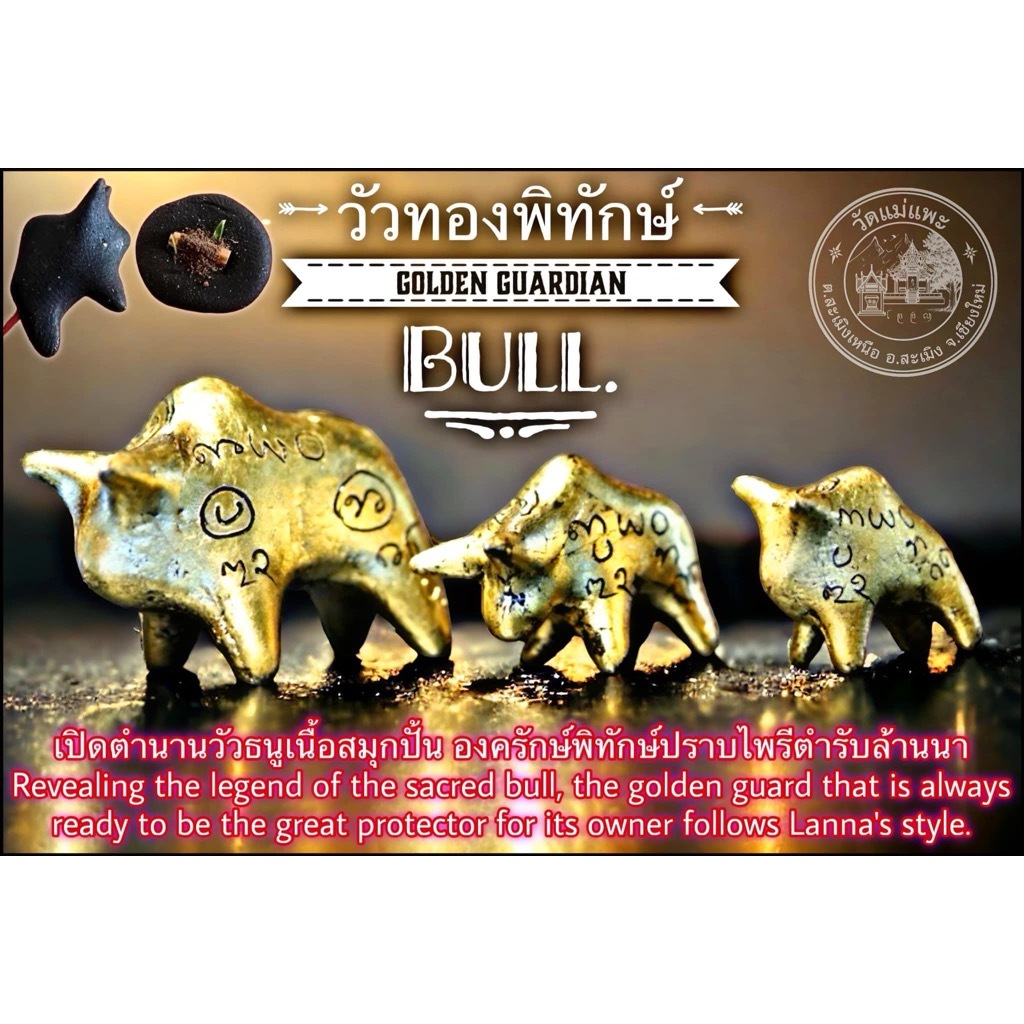 วัวทองพิทักษ์, ครูบาฐากูร วัดแม่แพะ, จ.เชียงใหม่ Golden Guardian Bull ...