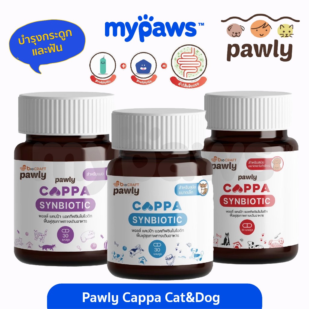 [🔥10.15 ลดสูงสุด 75.-]My Paws Pawly Cappa ซินไบโอติก วิตามินบำรุง ...