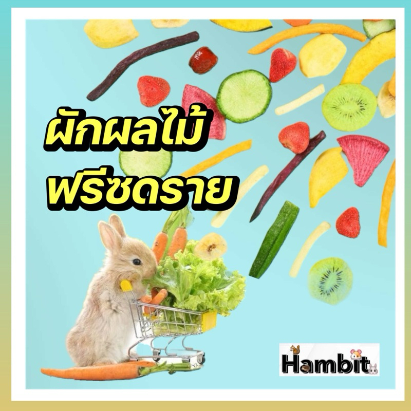 Hambit. ผักผลไม้ฟรีซดรายไม่ใส่เกลือ ขนาด 100กรัม เหมาะกับ สัตว์ฟันแทะ ...