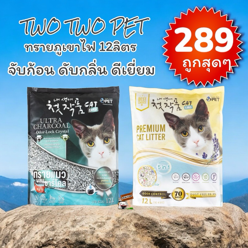ทราย TWO TWO PET 12ลิตร ทรายเกาหลี จับก้อนเร็ว ดับกลิ่นได้ดี | Shopee Thailand