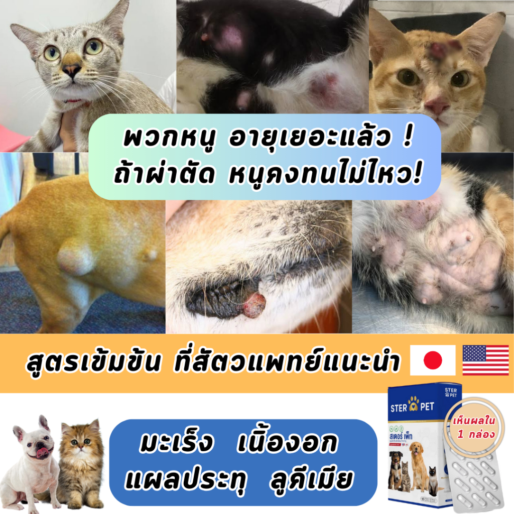 Ster Pet 🐱🐶(สเตอร์ เพ็ท) 1 กล่อง 15 แคปซูล ⭐ อาหารเสริมน้องหมาแมว ดูแล ...