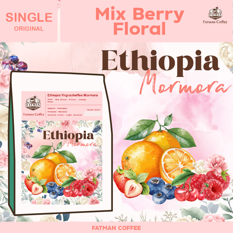 Ethiopia Yirgracheffee Mormora ET_15 | Shopee Thailand