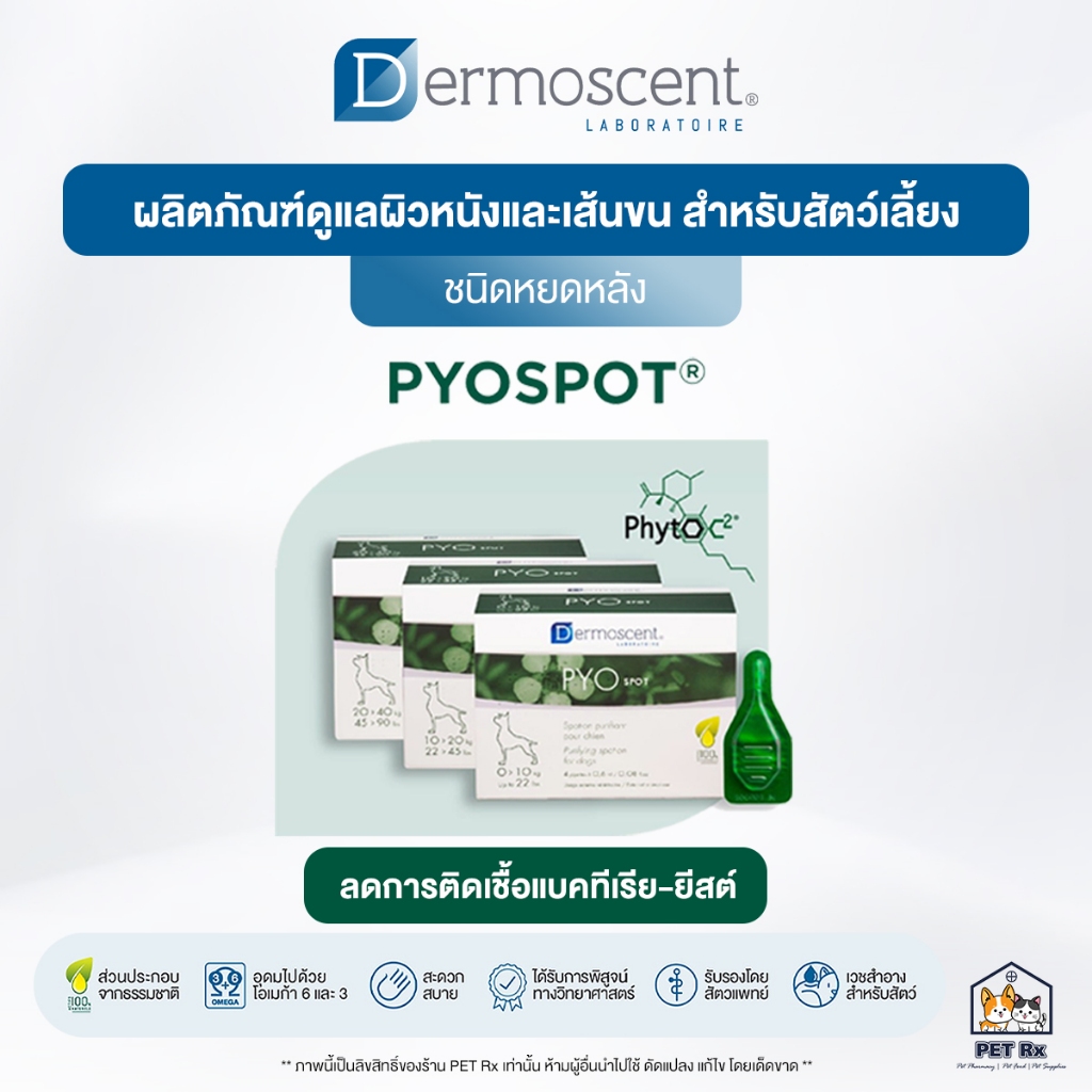 Dermoscent [แท้💯] PYOspot ผลิตภัณฑ์หยดหลังเพื่อจัดการผิวหนังติดเชื้อ ...