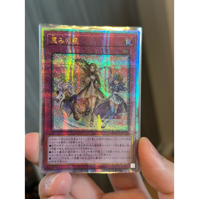 QCCU-JP168 Blessed Winds Quarter Century Rare | Shopee Thailand