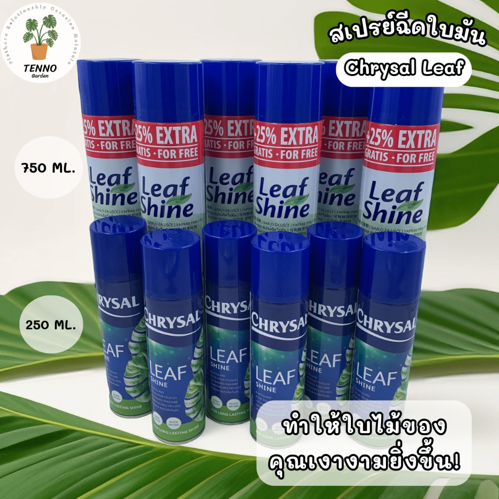 Chrysal Leaf shine คริสซอล สเปรย์ฉีดเคลือบเงาใบไม้ ใบมัน ขนาด 250ml ...