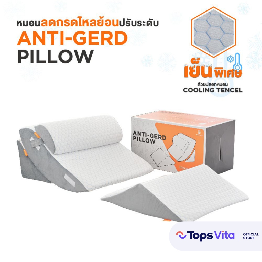 [Pre-Order] ERGOTREND หมอน เออร์โกเทรน รุ่น Anti Gerd [8850001004499 ...