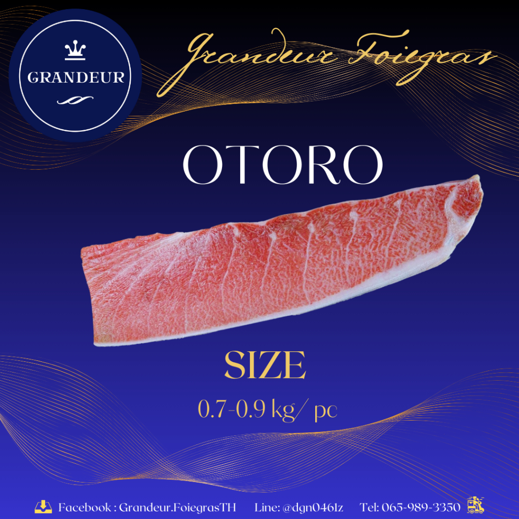 Frozen Otoro Hon maguro ทูน่าบลูฟิน โอโทโร่ | Shopee Thailand