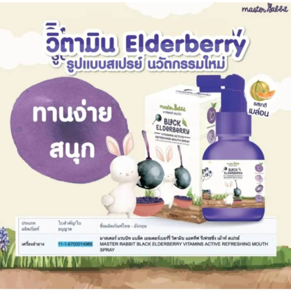 วิตามินสเปรย์ สำหรับเด็ก Master Rabbit Black Elderberry Vitamins Active Refressing Mouth Spray ...