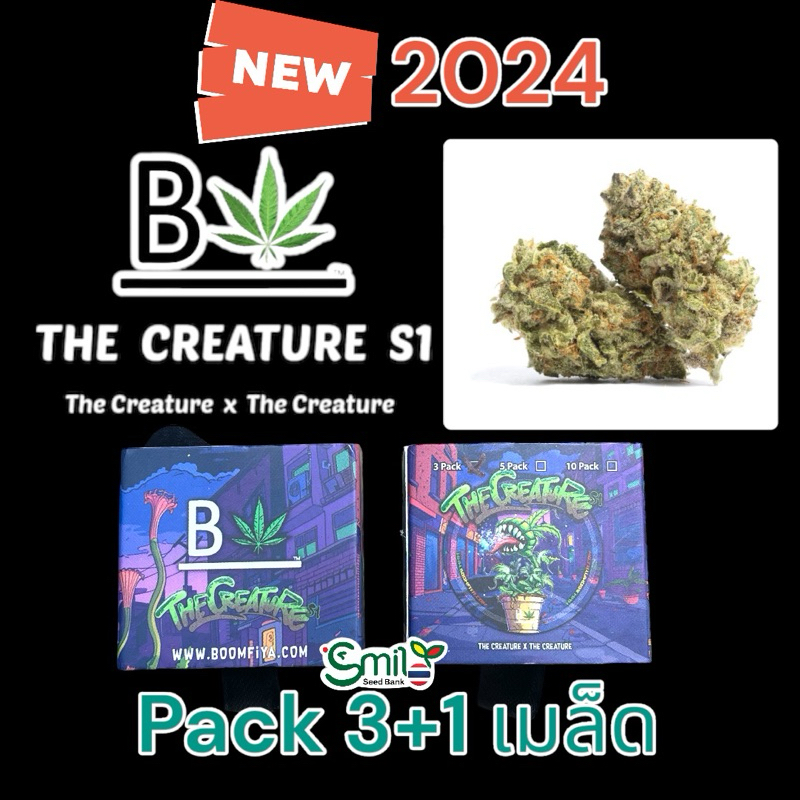 เมล็ดกัญชา The Creature S1 (Fem) - Beleaf Seeds ล็อตล่าสุด 2024 ...