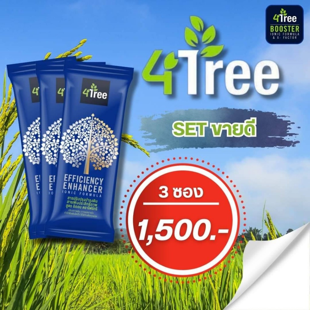 4Tree (โฟร์ ทรี) ของแท้ 3 ซอง ใช้ได้ 50-60 ไร่ พืชโตเร็ว ใช้ได้กับพืชทุกชนิด ส่งฟรี เก็บเงินปลาย ...