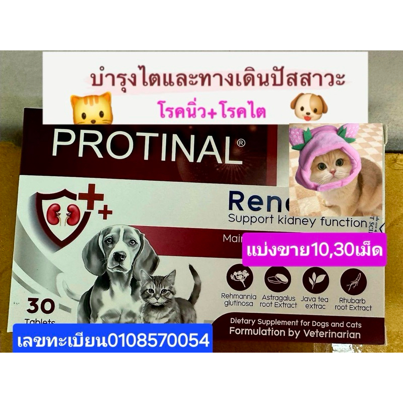 protinalวิตามินบํารุงไตและกระเพาะปัสสาวะ สำหรับสุนัขและแมวที่เป็นนิ่ว ...