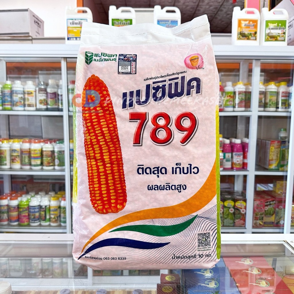เมล็ดพันธุ์ข้าวโพด แปซิฟิค 789 : 10 กิโลกรัม (3.5หุน) ติดสุด เก็บไว ผลผลิตสูง | Shopee Thailand