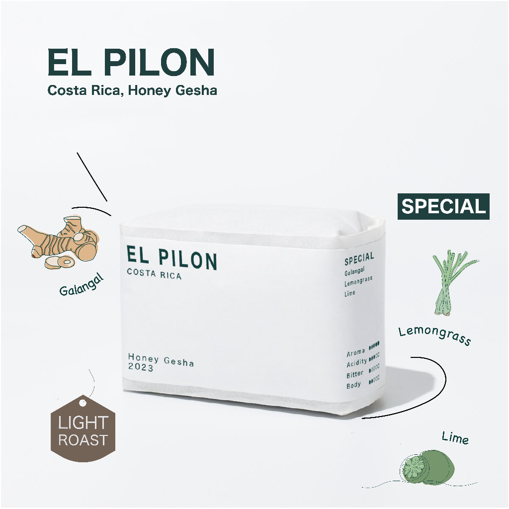 Matori Coffee Roaster เมล็ดกาแฟคั่วอ่อน Costa Rica, El Pilon Honey ...