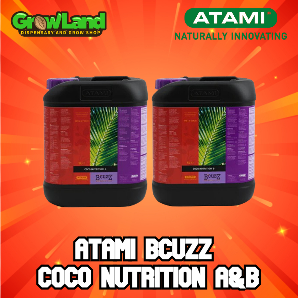 Atami Bcuzz Coco Nutrition A&B 5 Liters | Shopee Thailand