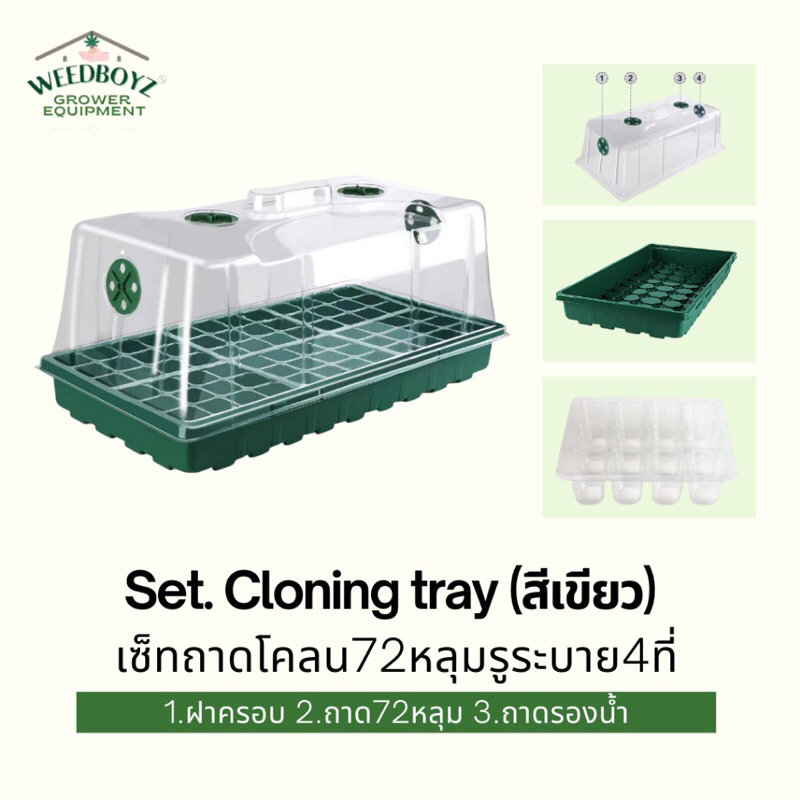 Set Cloning tray 72หลุม สีเขียว ถาดโคลน ถาดเพาะเมล็ด ปักชำกัญชา โคลน ...