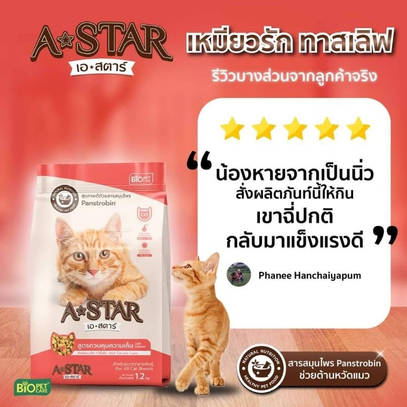 อาหารแมว A-STAR รสทูน่า แบรนด์เดียวที่มีสารสมุนไพร Panstrobin ช่วยต้าน ...