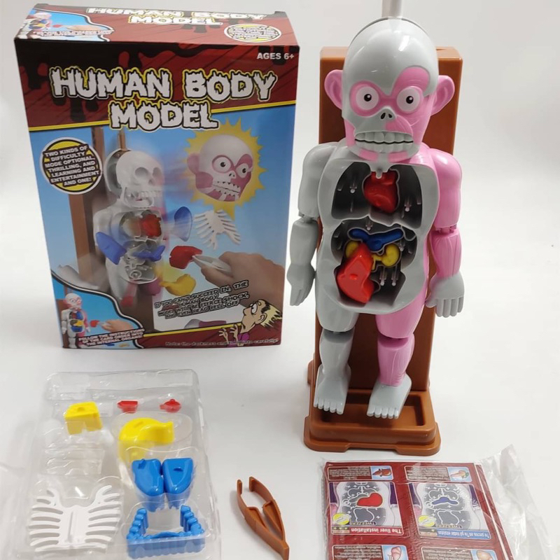 Human body game สินค้าเข้าเเล้ว ของเล่น ที่สามารถเล่นได้หลายคน | Shopee ...