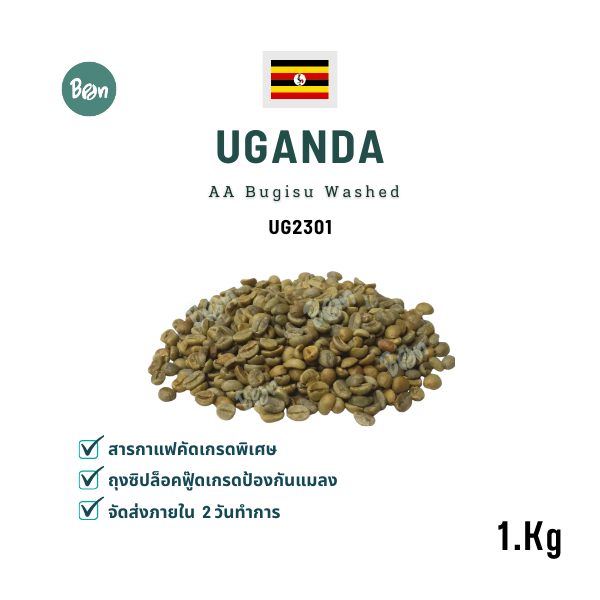 UG2301 - Uganda AA Bugisu – Washed ขนาด 1 Kg. | Shopee Thailand