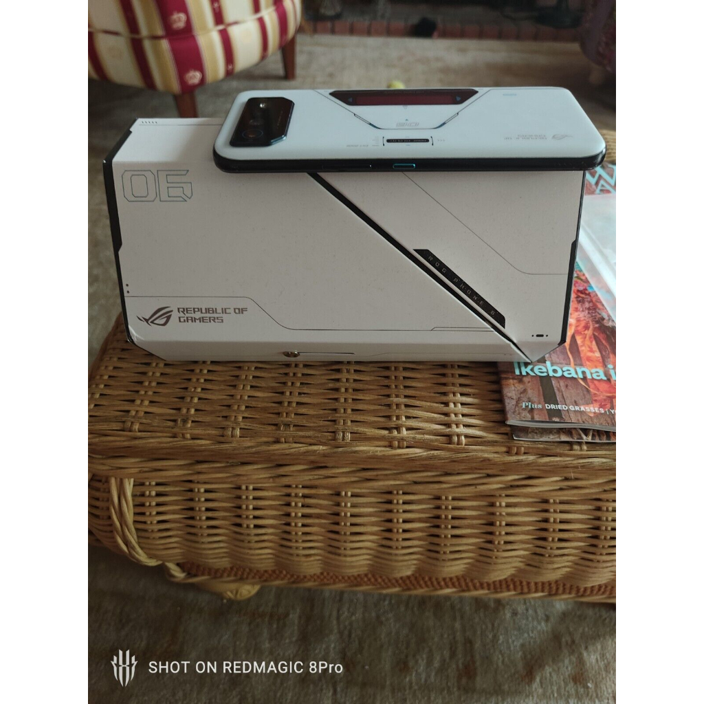ASUS ROG Phone 6 Pro AI2201 - 512GB - Storm White (Unlocked)1 | Shopee ...