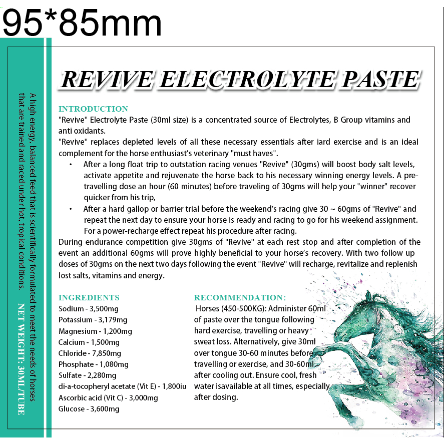 Revive Electrolyte Paste 30 ml | Shopee Thailand