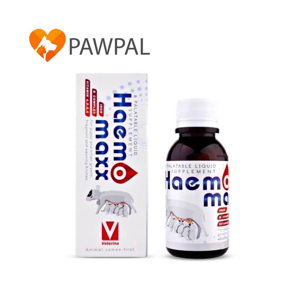 Haemomaxx 100 ml🔥Exp.16/1/26 Haemomax วิตามิน บำรุงเลือด ธาตุเหล็ก ...
