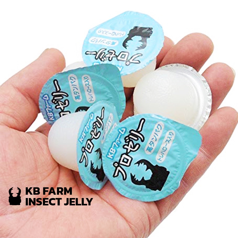 เยลลี่โปรตีนสำหรับด้วงและแมลงต่างๆ (Ultra high protein jelly for beetle ...