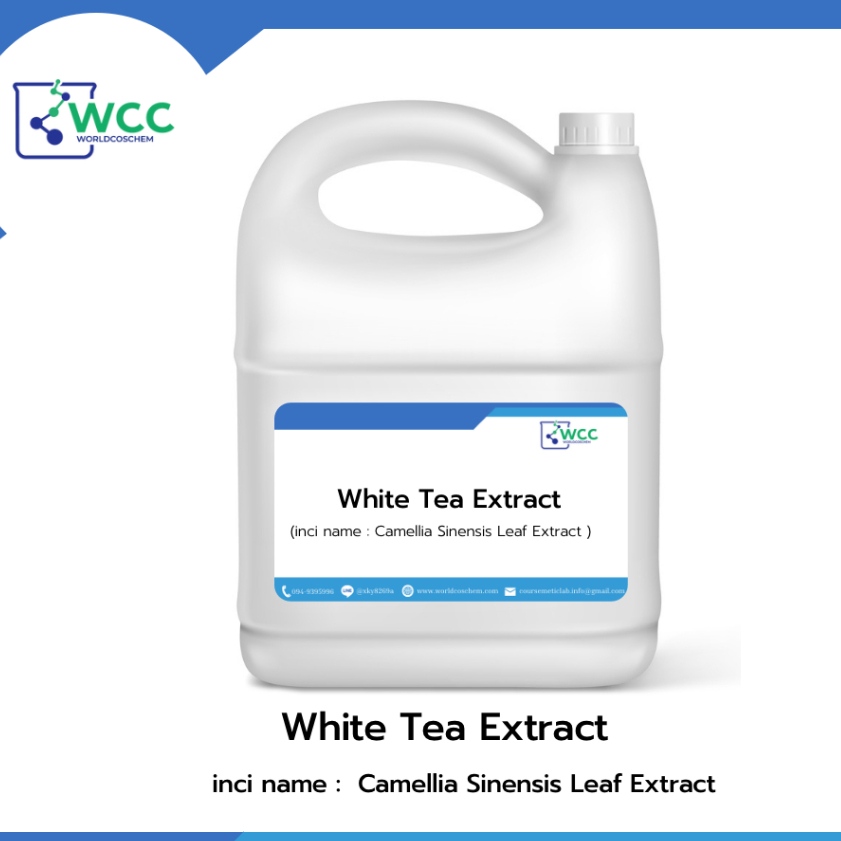 White Tea Extract สารสกัดชาขาว ขนาด 100 g | Shopee Thailand