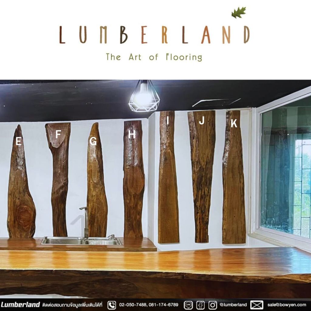 Lumberland : แผ่นไม้ยางนาตกแต่งผนังเคลือบสวยงามคละแบบ ขนาดกว้างประมาณ ...