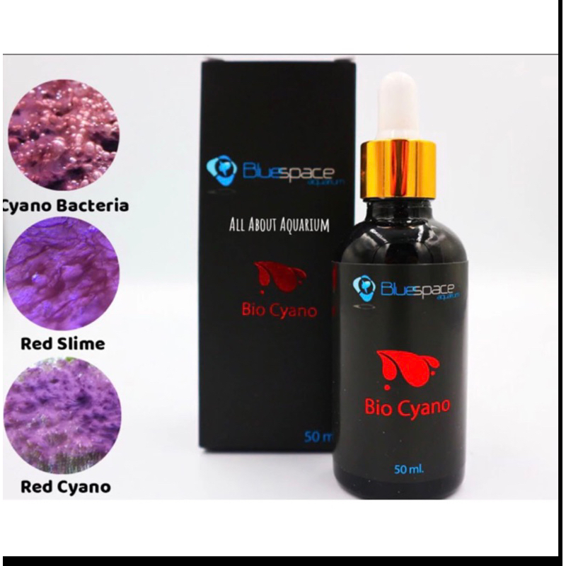 Blue space Bio Cyano เป็นแบคทีเรียสำหรับมากำจัดตะใคร่แดงโดยตรง ปลอดภัยต่อสิ่งมีชีวิตทุกชนิด ขนาด ...