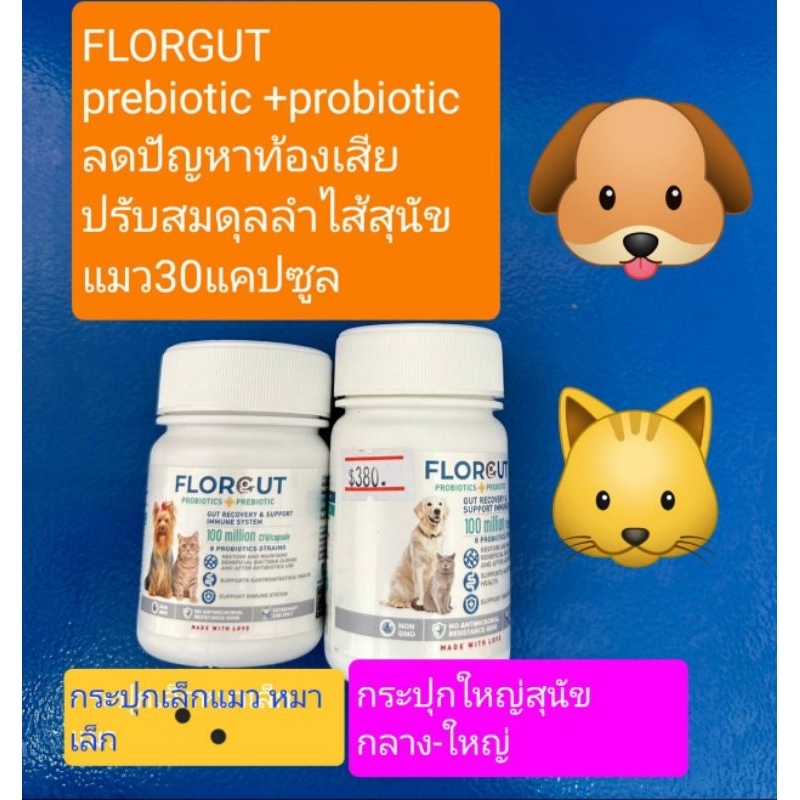 FLORGUT อาหารเสริมProbiotics&Prebiotic สำหรับสัตว์เลี้ยงหมาแมว(บรรจุ 30 ...