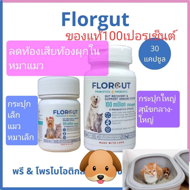 Florgut ฟลอกัท สำหรับแมวและสุนัข ยกกระปุก (30แคป) ล็อตใหม่ล่าสุด ...