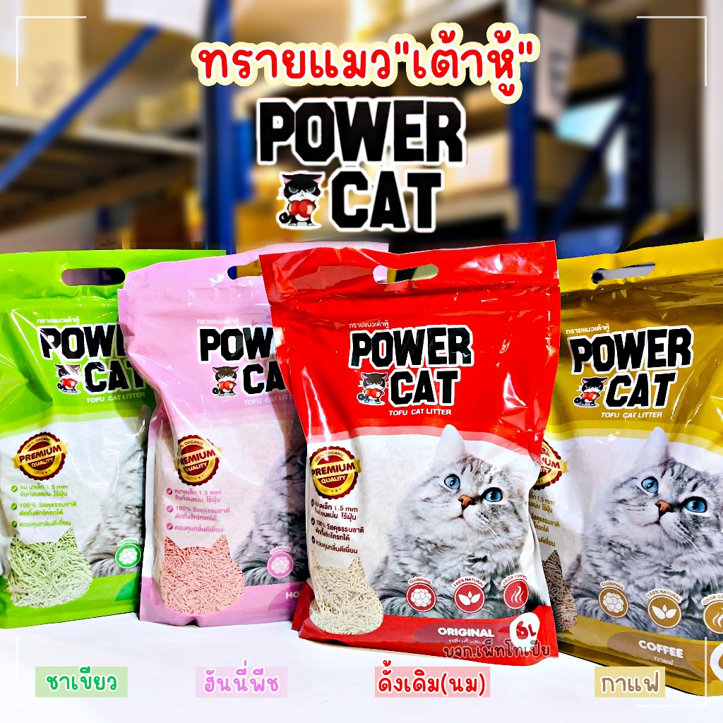 ทรายแมว Power Cat 6 ลิตร | Shopee Thailand