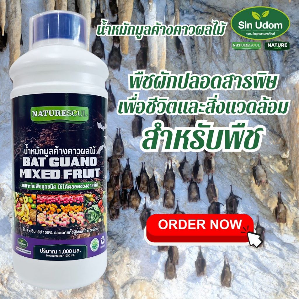 น้ำหมักมูลค้างคาวผลไม้ (Bat Guand Mixed Fruit) | Shopee Thailand
