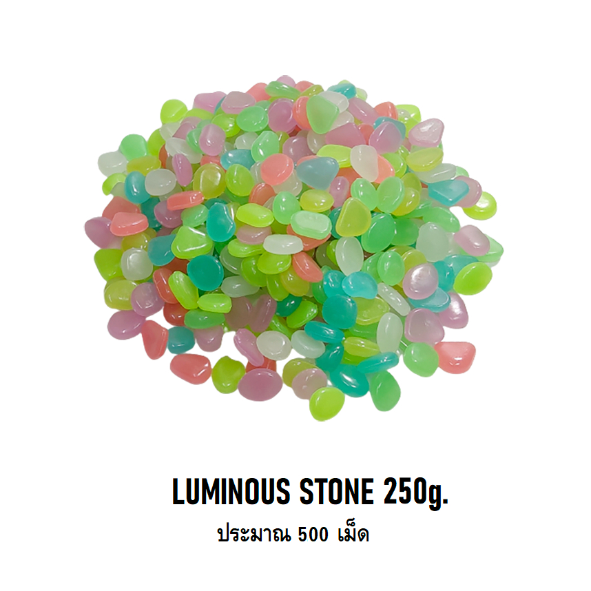 LUMINOUS STONE (หินเรืองแสง เรืองแสงในที่มืด สีสันสวยงาม สำหรับตกแต่ง ...